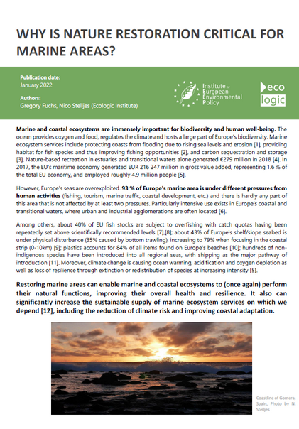 Why is Nature Restoration Critical for Marine Areas? | Oppla